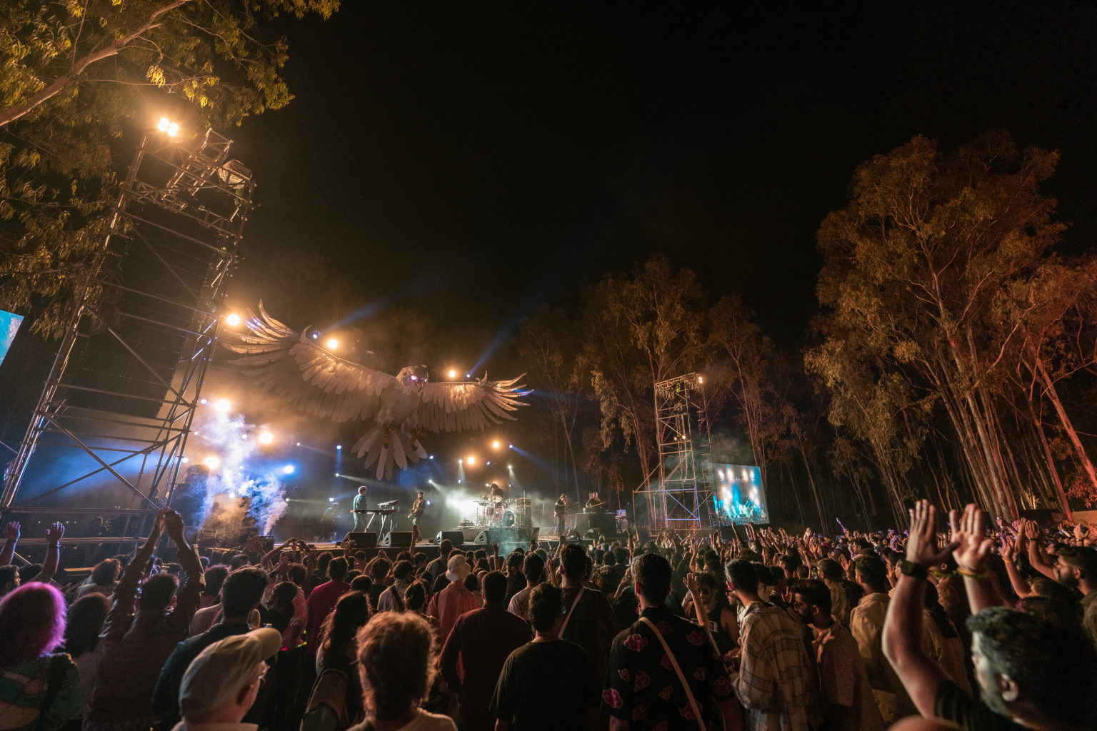Festival Review: Echoes Of Earth Run a Steady Ship of Groove and Eco ...